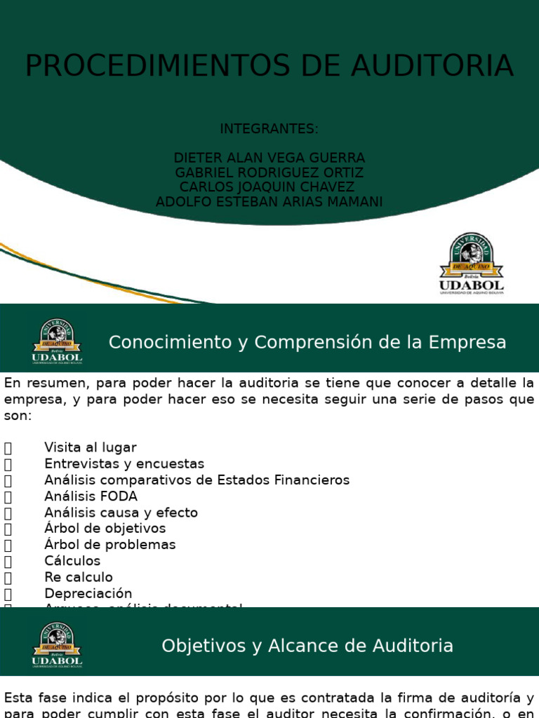 Procedimientos de Aud | PDF