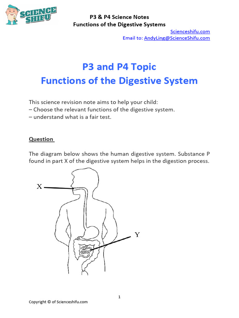 02 Science Shifu - P3 and P4 Topic - Functions of The Digestive System ...