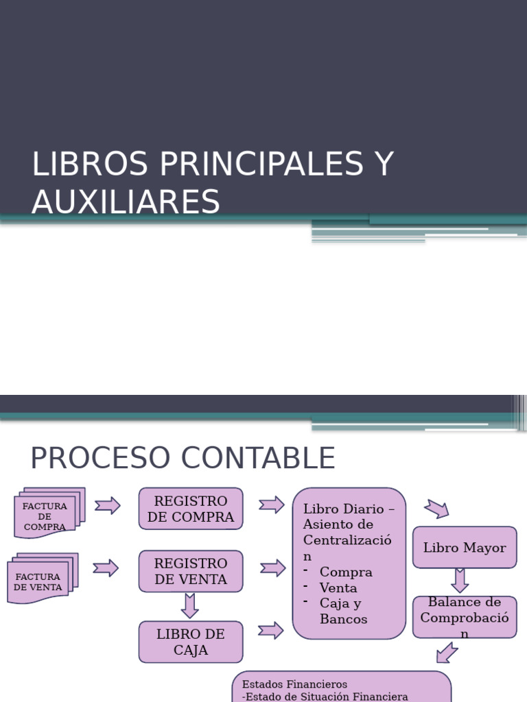 Libros Contables | PDF
