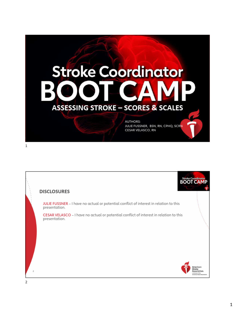 5 Assessing Stroke Scores Scales | PDF
