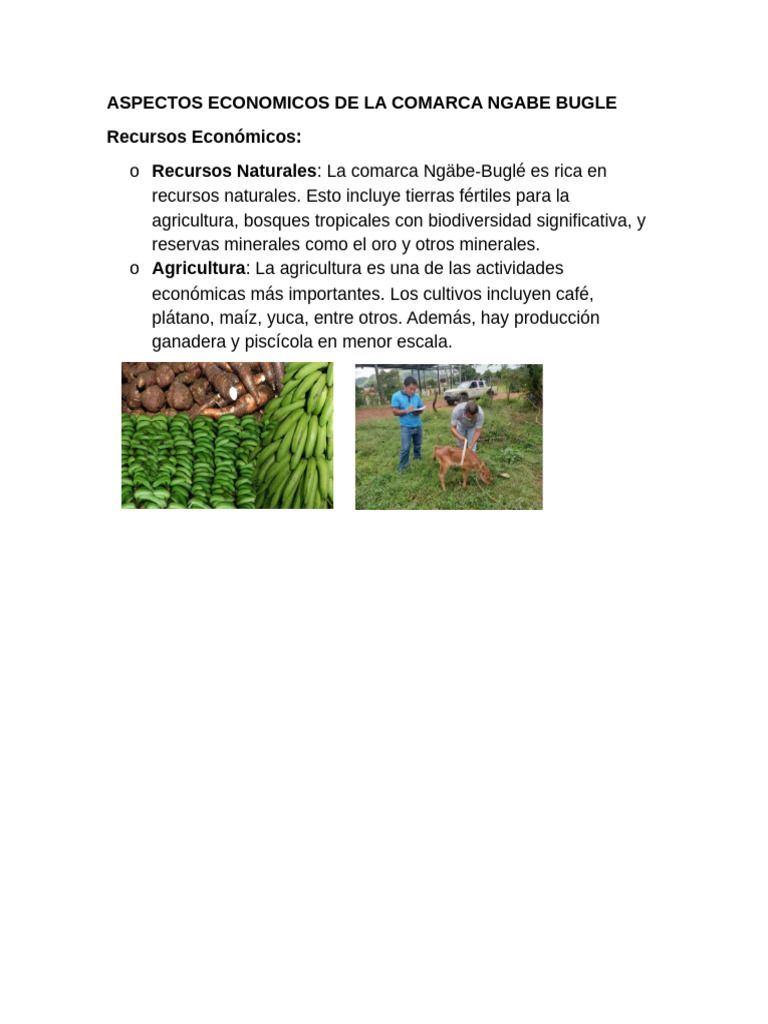Aspectos Economicos de La Comarca Ngabe Bugle y Panamá | PDF