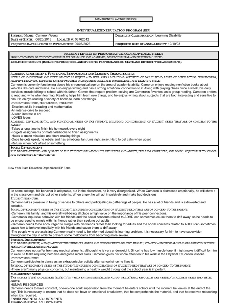 IEP Form | PDF