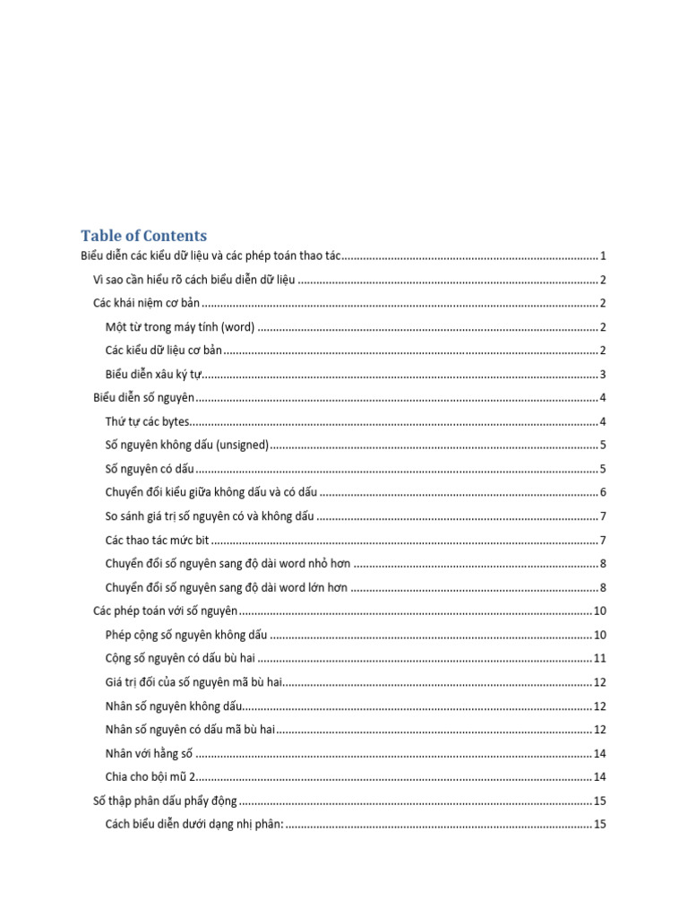 Bieu Dien Các Kieu Du Lieu Co Ban | PDF
