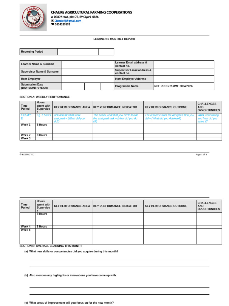 NSF - Learner Monthly Report Template | PDF
