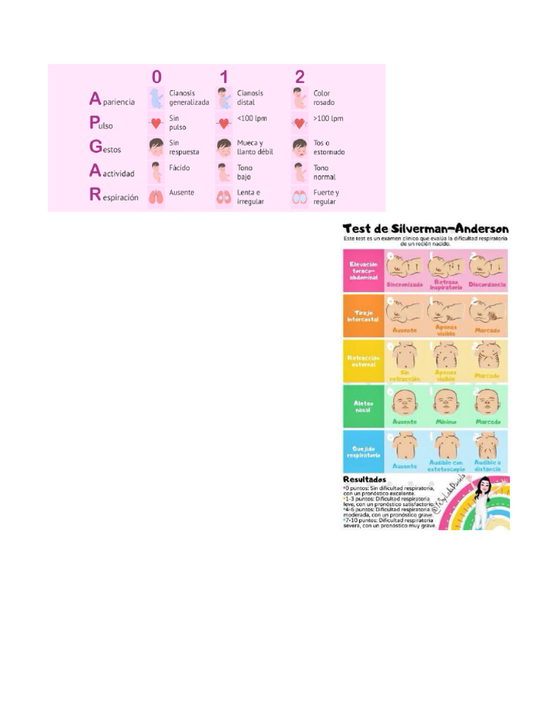 Escalas Pedia 2 | PDF