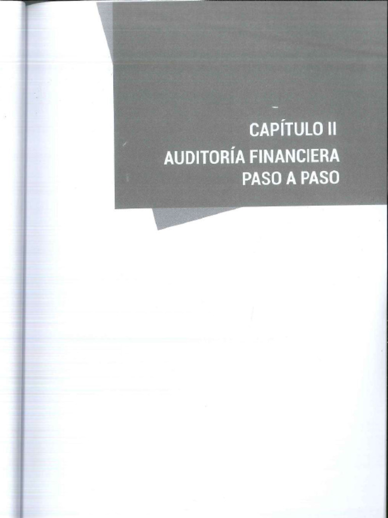 Auditoria Fianciera en Una Capsula - Capitulo I Ii | PDF