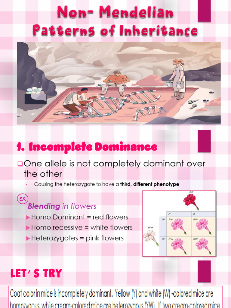 Non Mendelian Patterns Lecture | PDF | Dominance (Genetics) | Allele