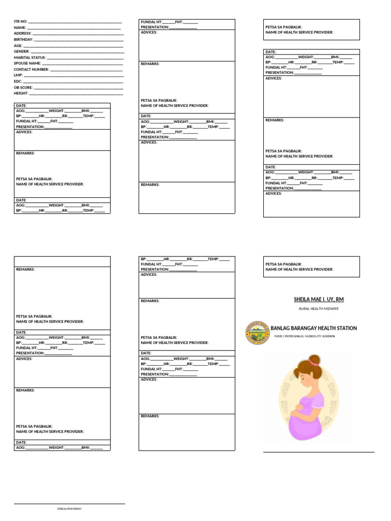 Maternal Health Record Template | PDF | Business