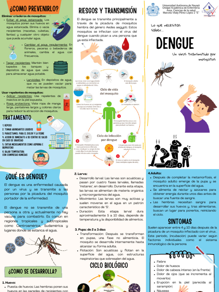Dengue, Triptico Practica Clínica | PDF