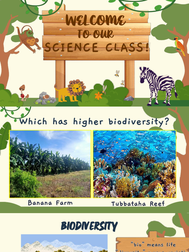 Lecture Biodiversity Species Extinction Ok Pdf
