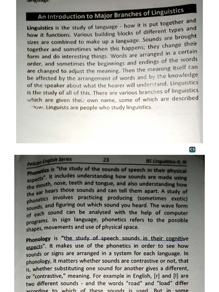 Major Branches of Linguistics | PDF