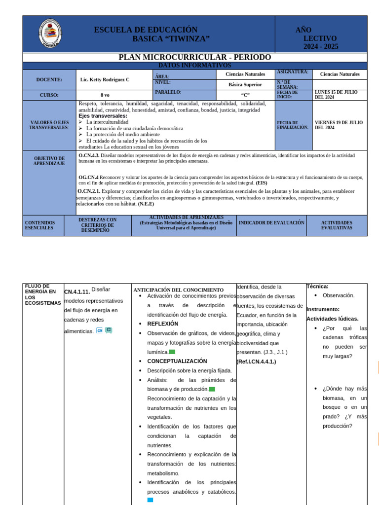 PLAN MICRO-DUA 8vo CC - NN 15-19 | PDF