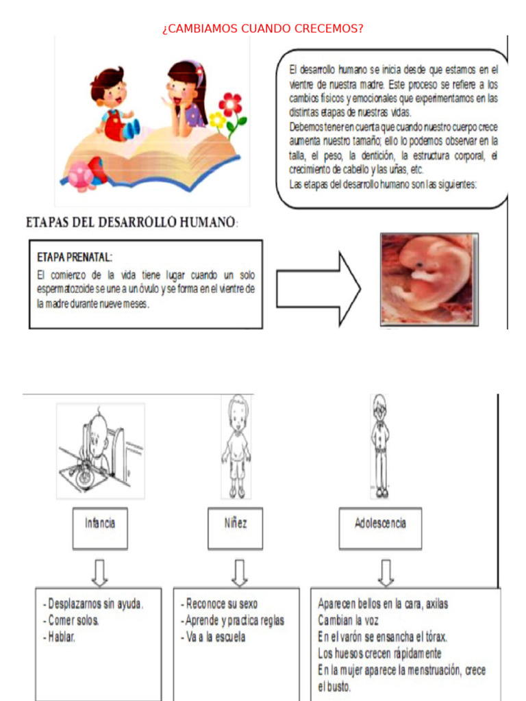 Cambiamos Cuando Crecemos | PDF