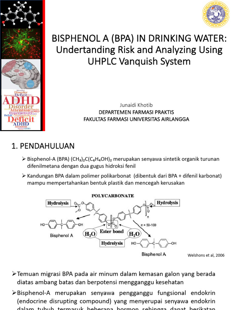 Kajian Bisphenol A - 29 Agustus 2024 | PDF