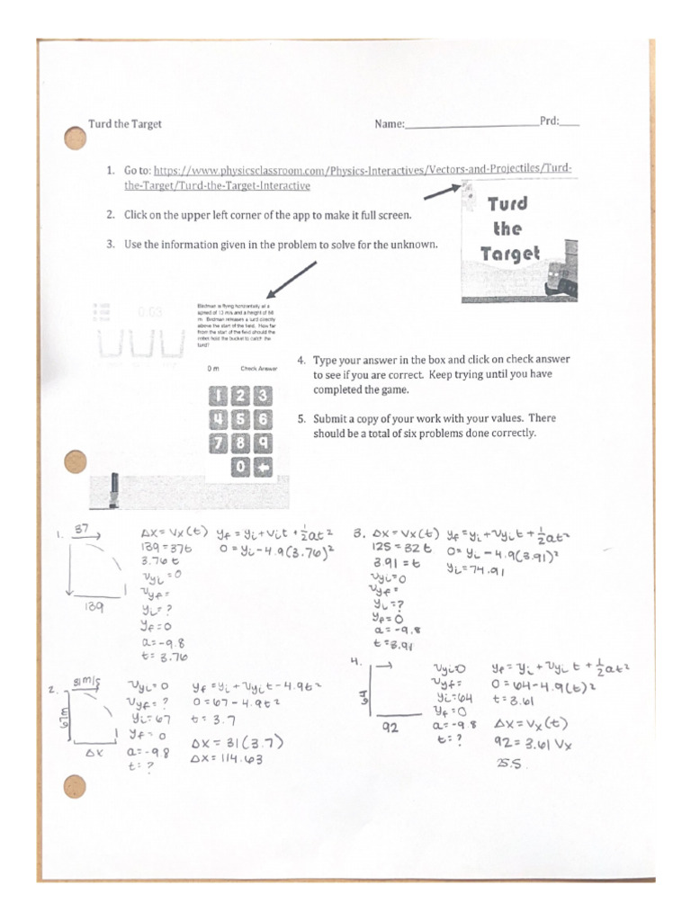 Turd The Target | PDF