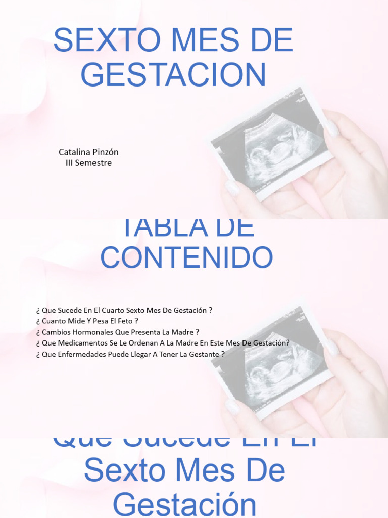 6 Mes Gestacion | PDF