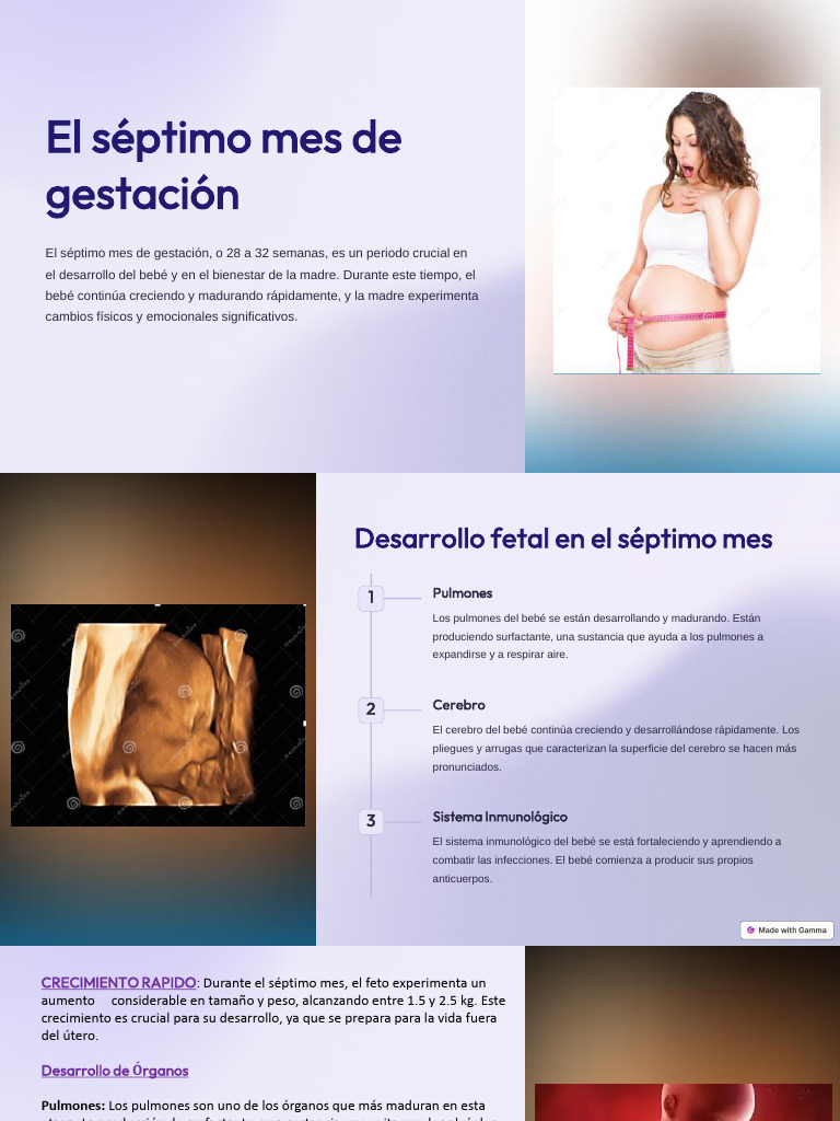 Séptimo Mes de Gestación: Claves | PDF | Feto | El embarazo