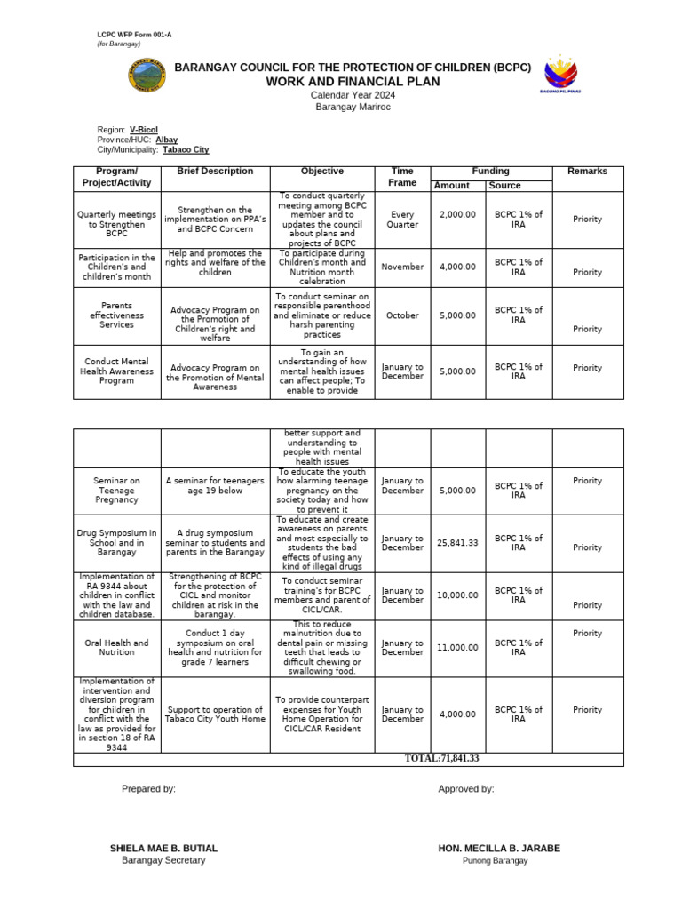 BCPC AWFP 2024 Template Record | PDF