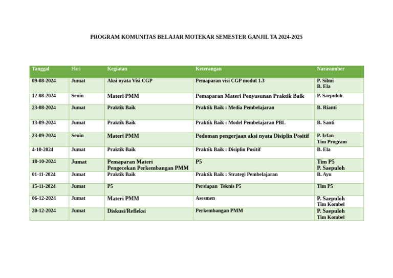 Program Kerja PMM | PDF