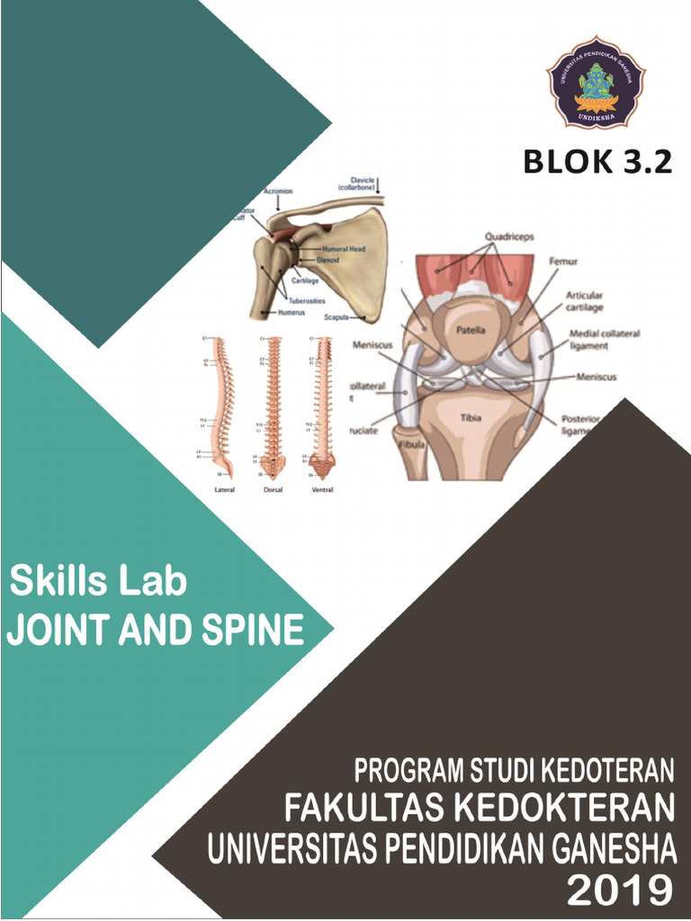 3.2 CSL Joint and Spine Examination | PDF