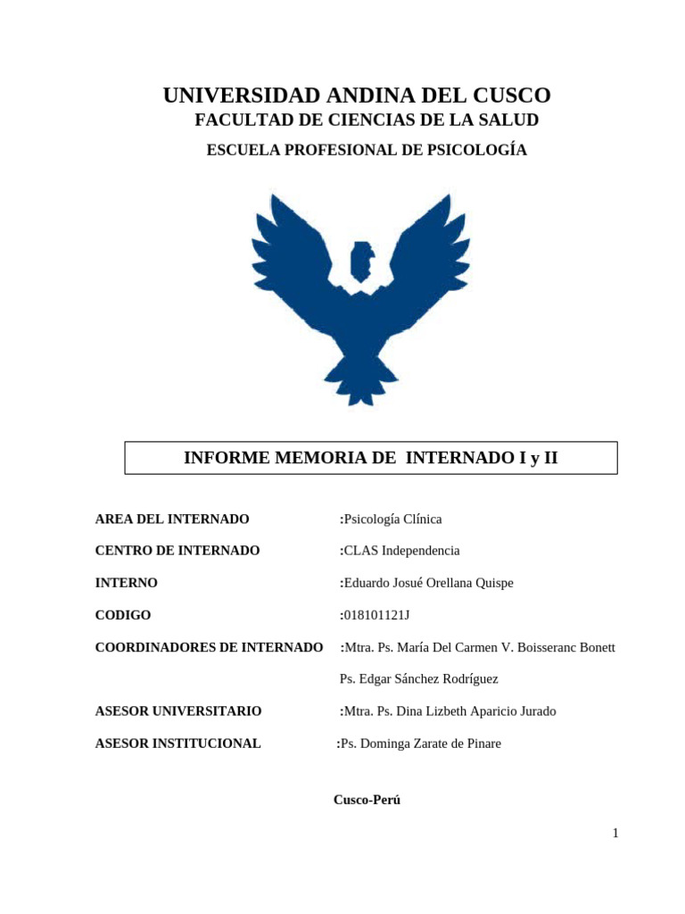 Informe Memoria Internado | PDF