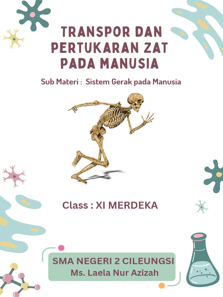 Transpor Dan Pertukaran Zat Pada Manusia | PDF