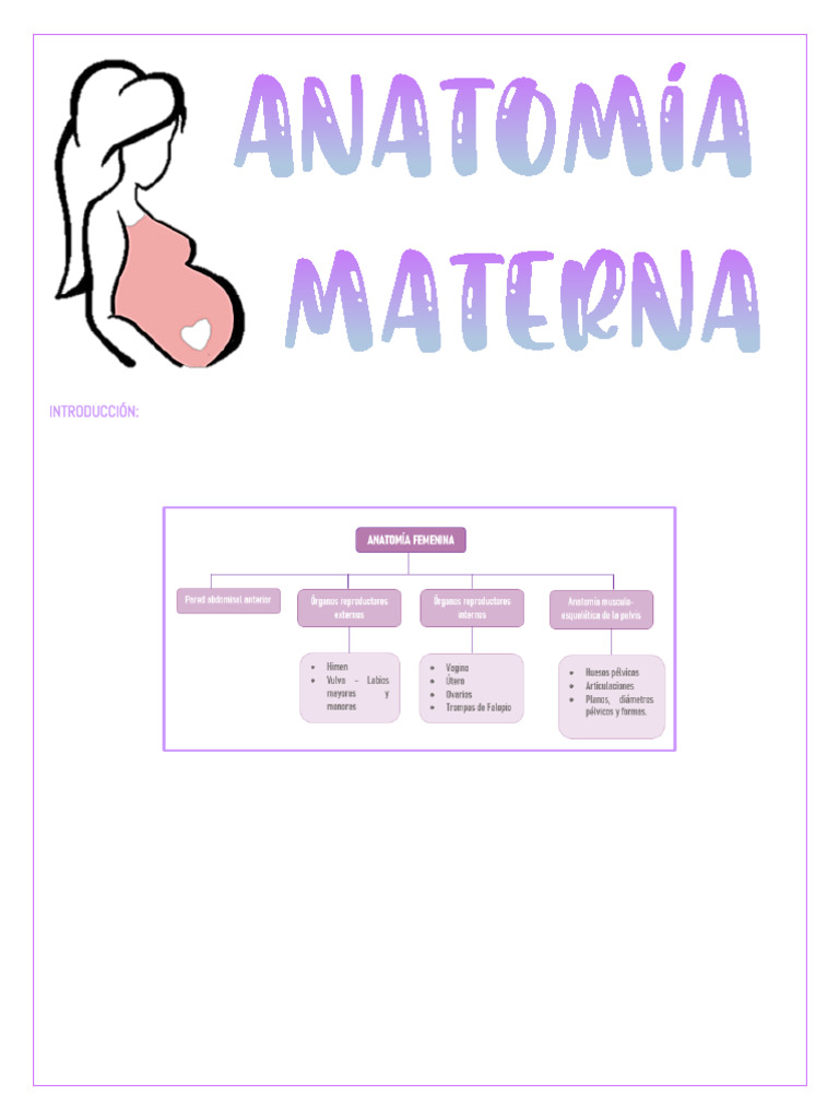 Dra. Dávila - Anatomia Materna | PDF