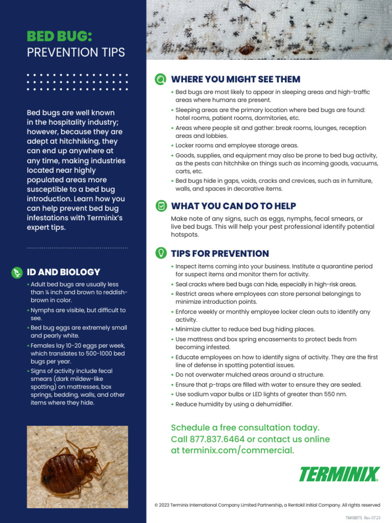 Bed Bug Prevention | PDF