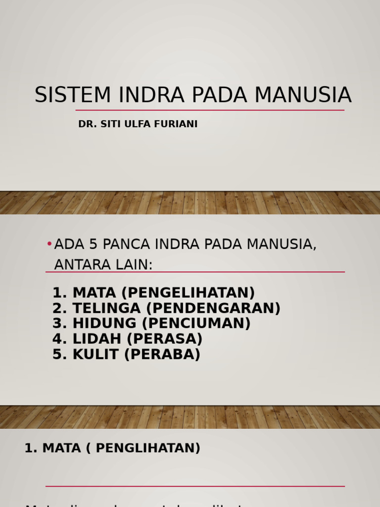 Sistem Indra Dr. Ulfa | PDF