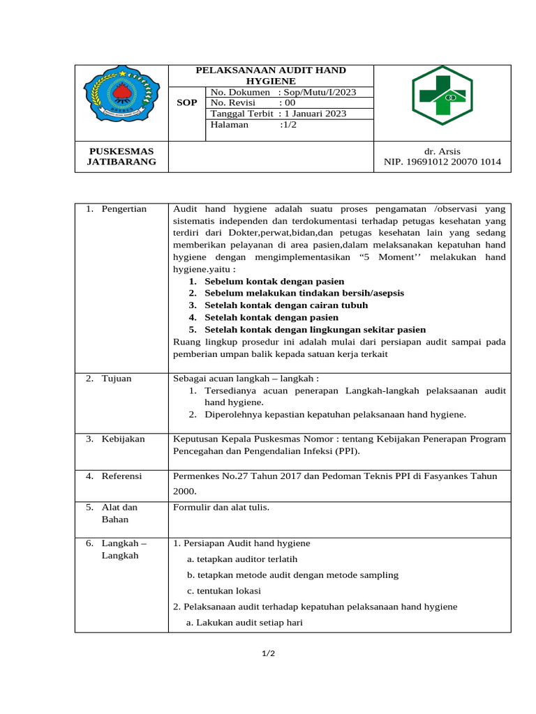 Audit Hand Hygine | PDF