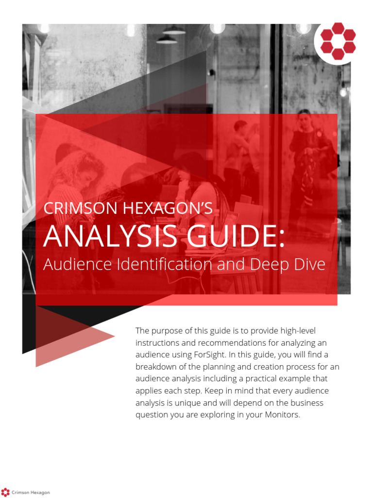ANALYSISGUIDE - Audience Identification Deep Dive-2 | PDF