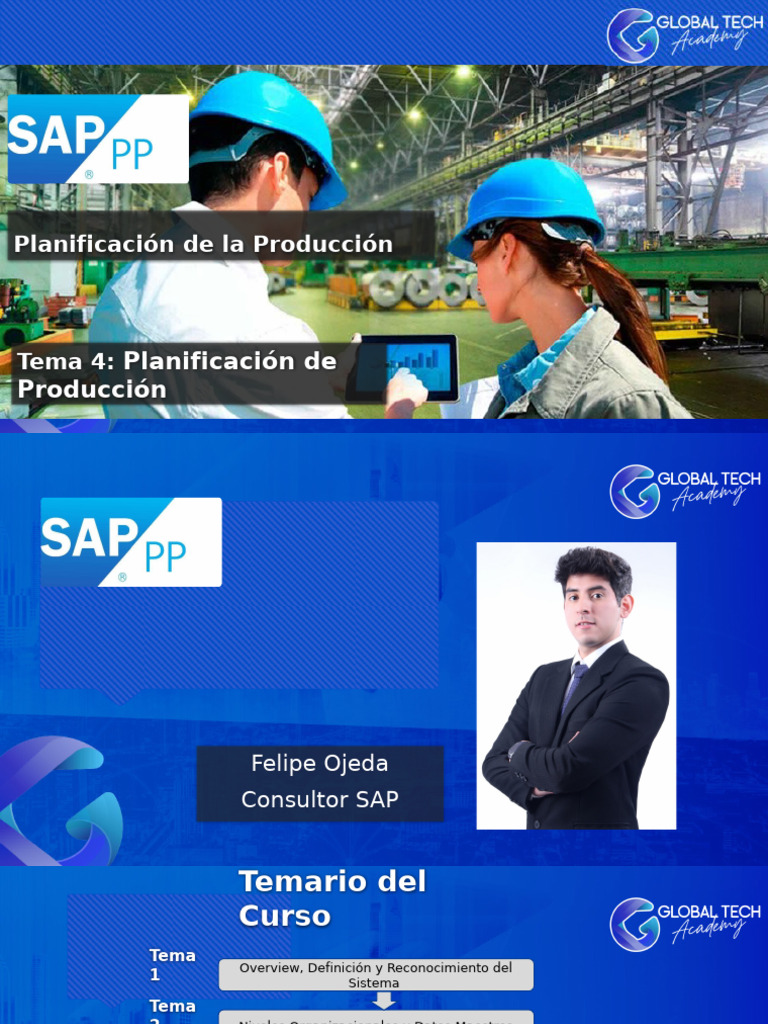Tema 4 Sap PP | PDF