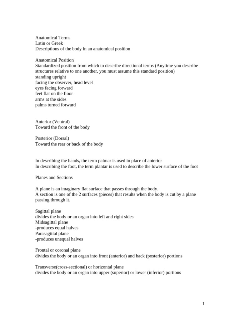 Anatomical Terms | PDF