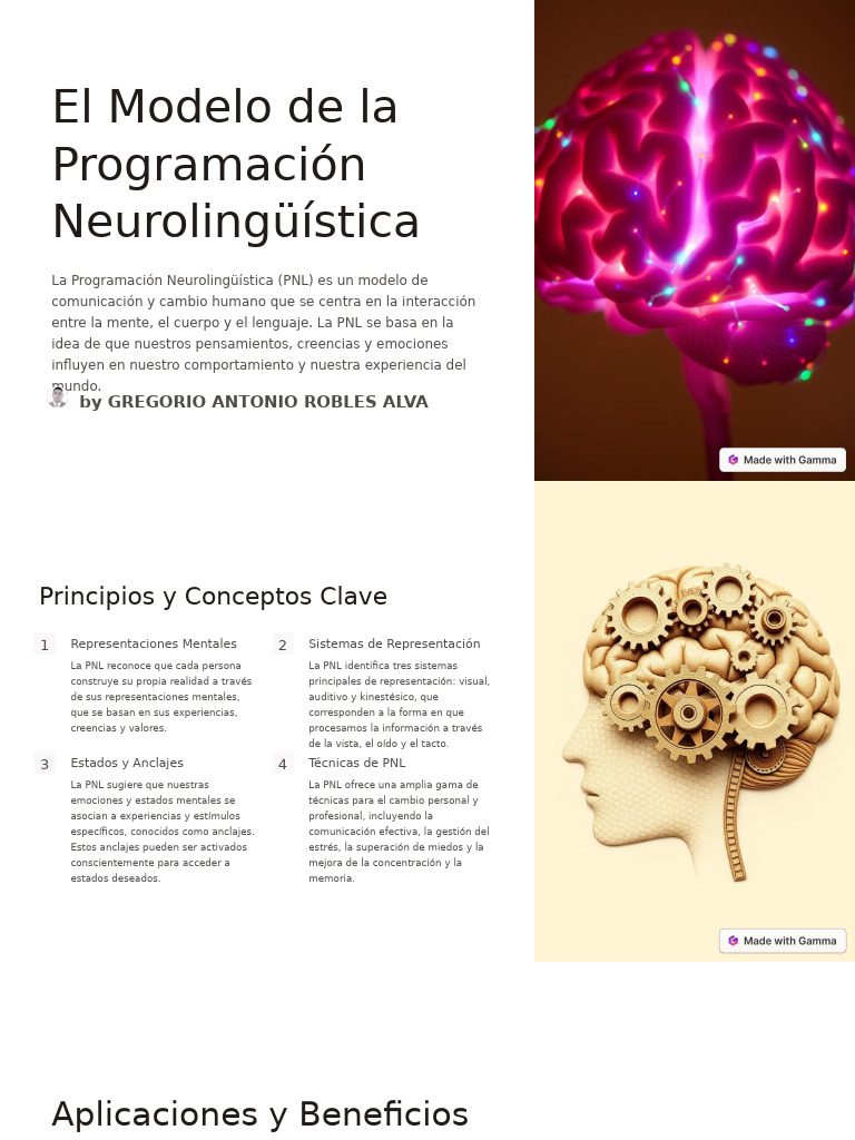 El Modelo de La Programacion Neurolinguistica | PDF