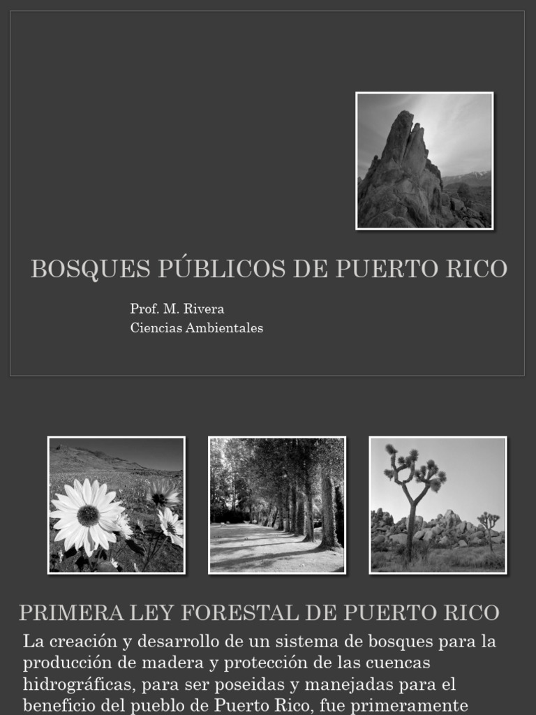 Bosques Públicos de PR (Reservas A Bosques) | PDF