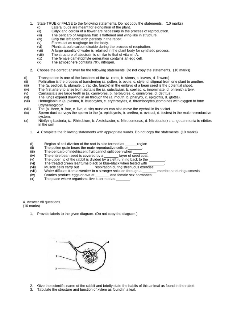 Old Bio 100mks Final | PDF
