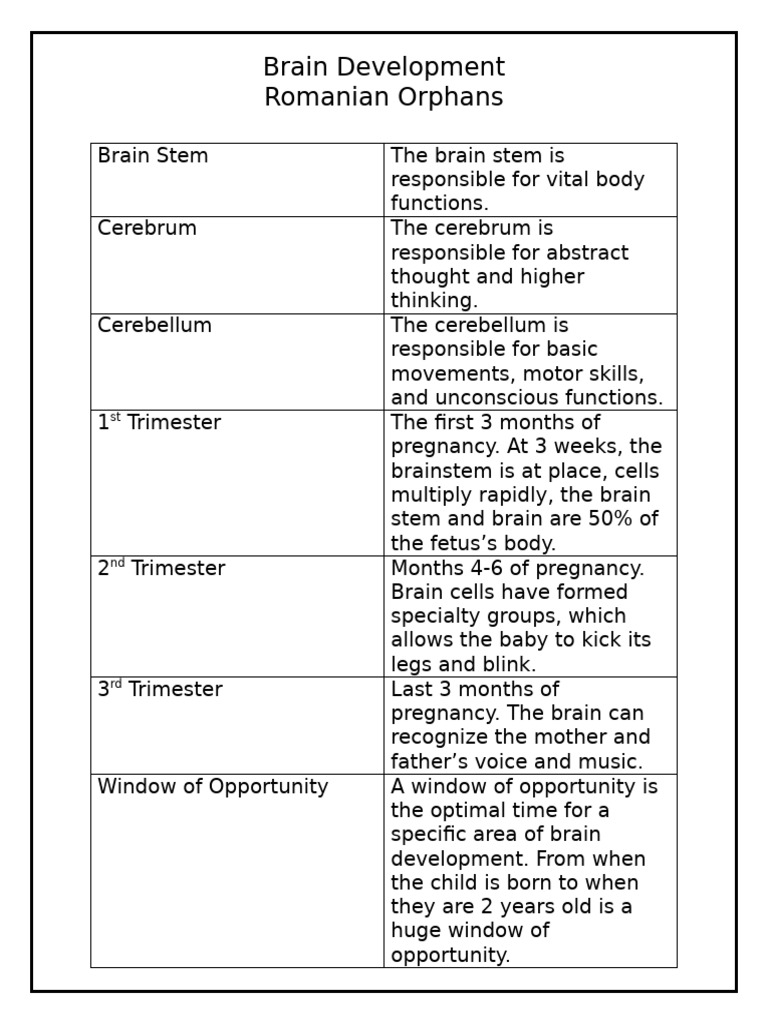 Brain Development and Romania ORGANIZER | PDF