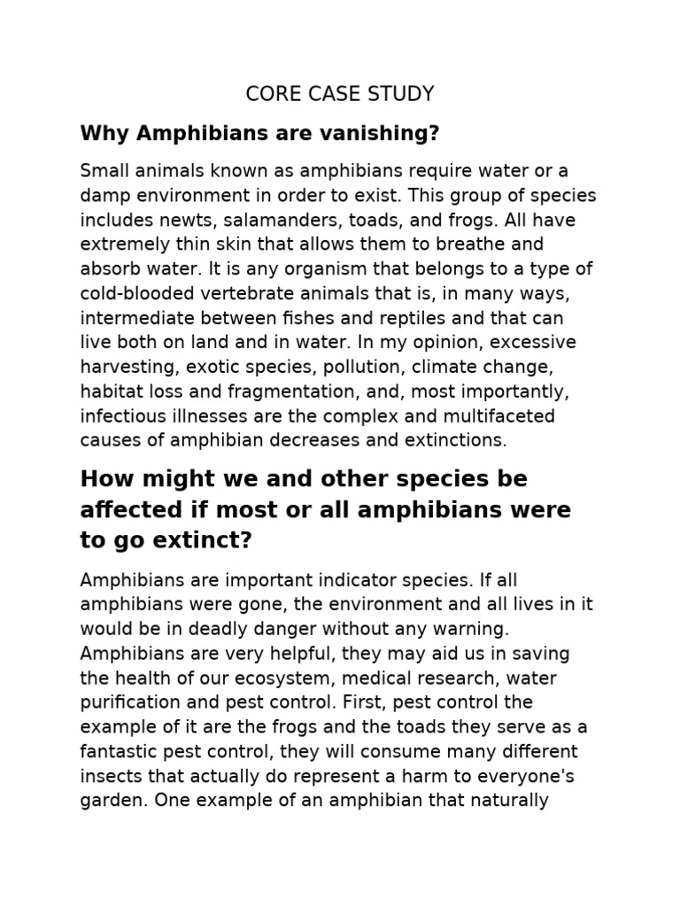 CORE CASE STUDY-WPS Office | PDF