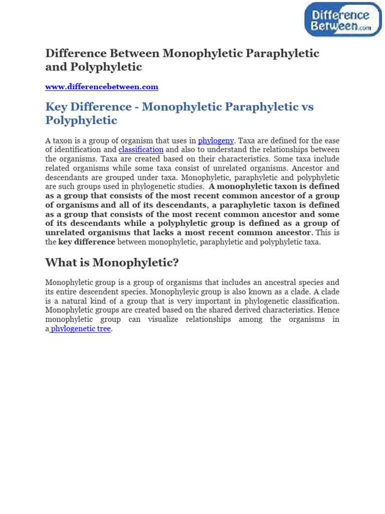 Difference Between Monophyletic Paraphyletic and Polyphyletic | PDF