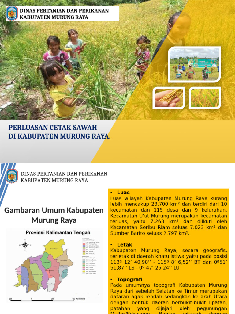 Cetak Sawah | PDF