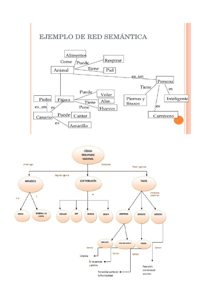 Ejemplo de Red Semantica | PDF