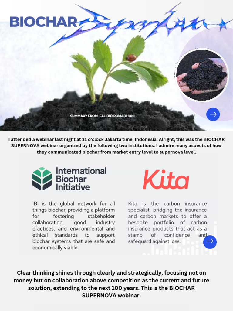 Biochar Summary Webinar | PDF