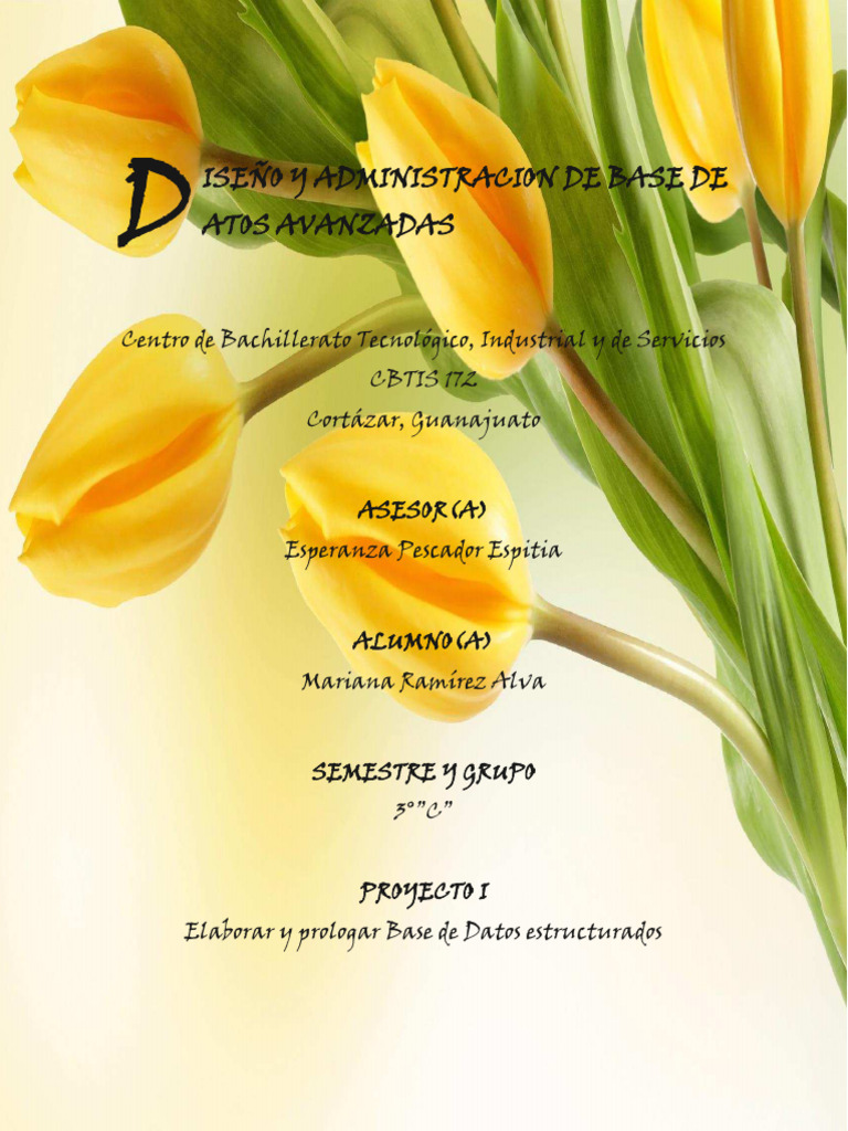 Diseño y Administración de Bases de Datos | PDF | SQL | Arte