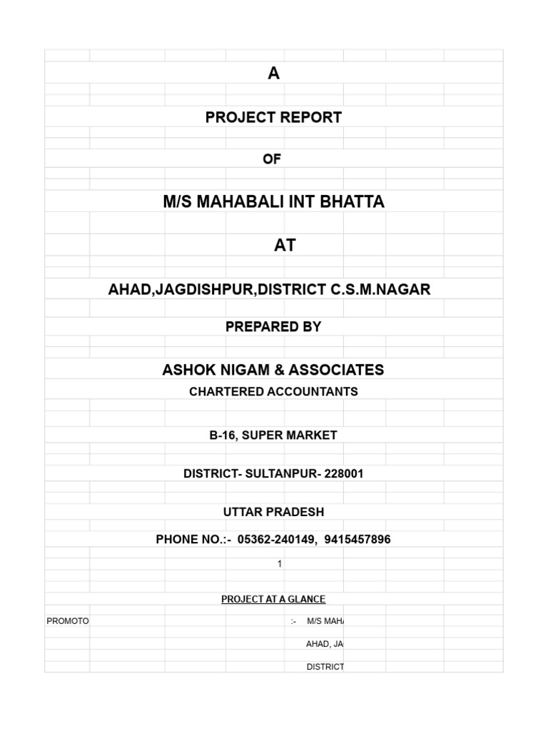 Project Report | PDF Project Report | PDF