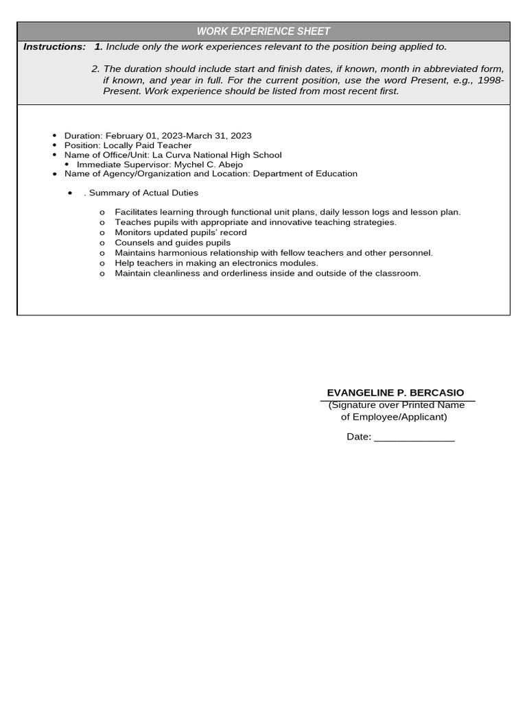 Work Experience Sheet | PDF