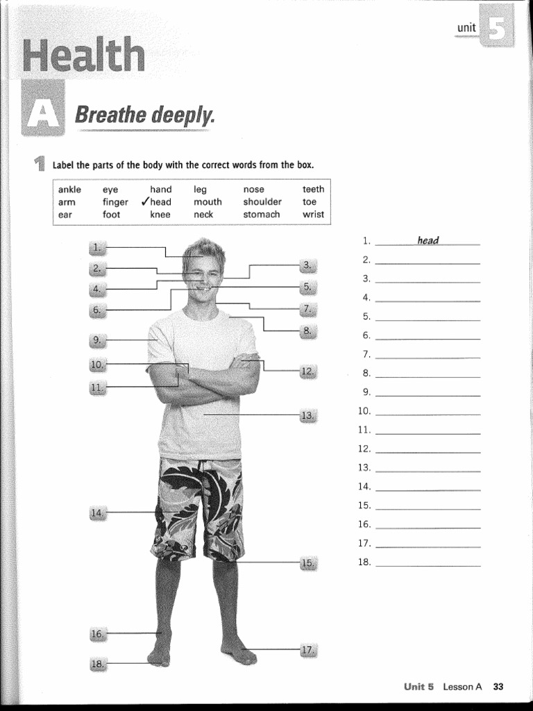 Four Corners WB 2 (Units 5-8) | PDF