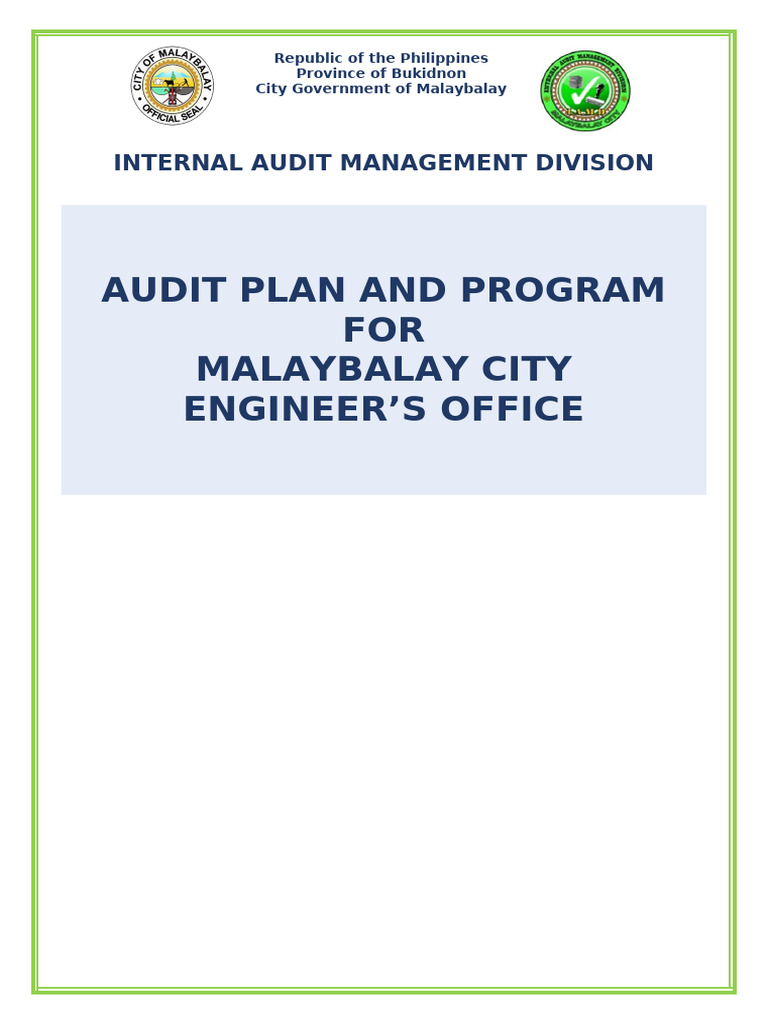 CEO Audit Plan and Program 2023 | PDF | Internal Control | Business