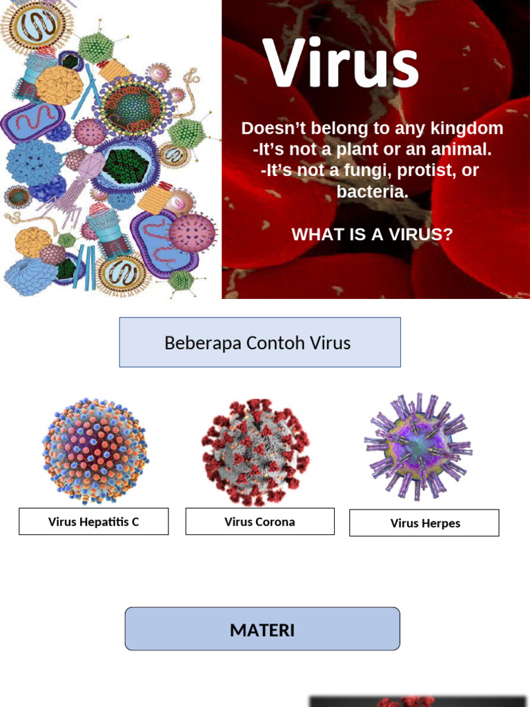 Virus | PDF