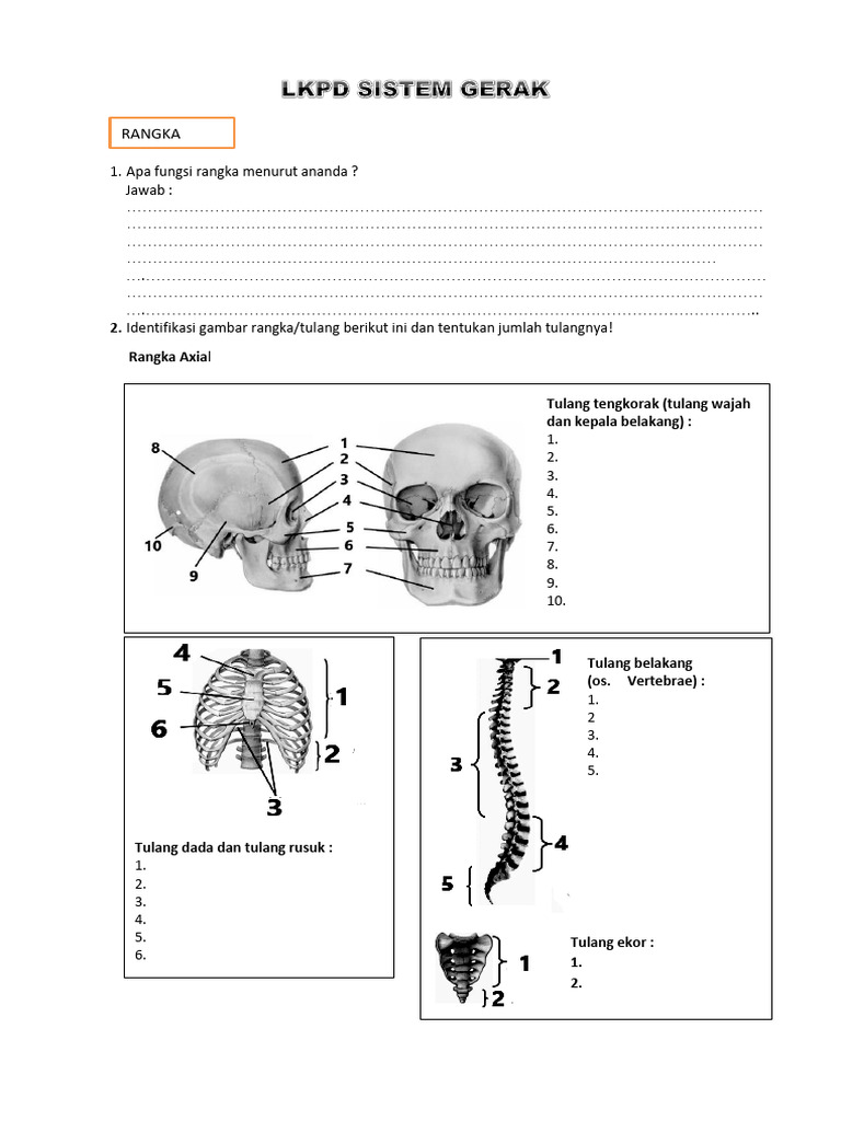 LKPD Sistem Gerak 2024 | PDF