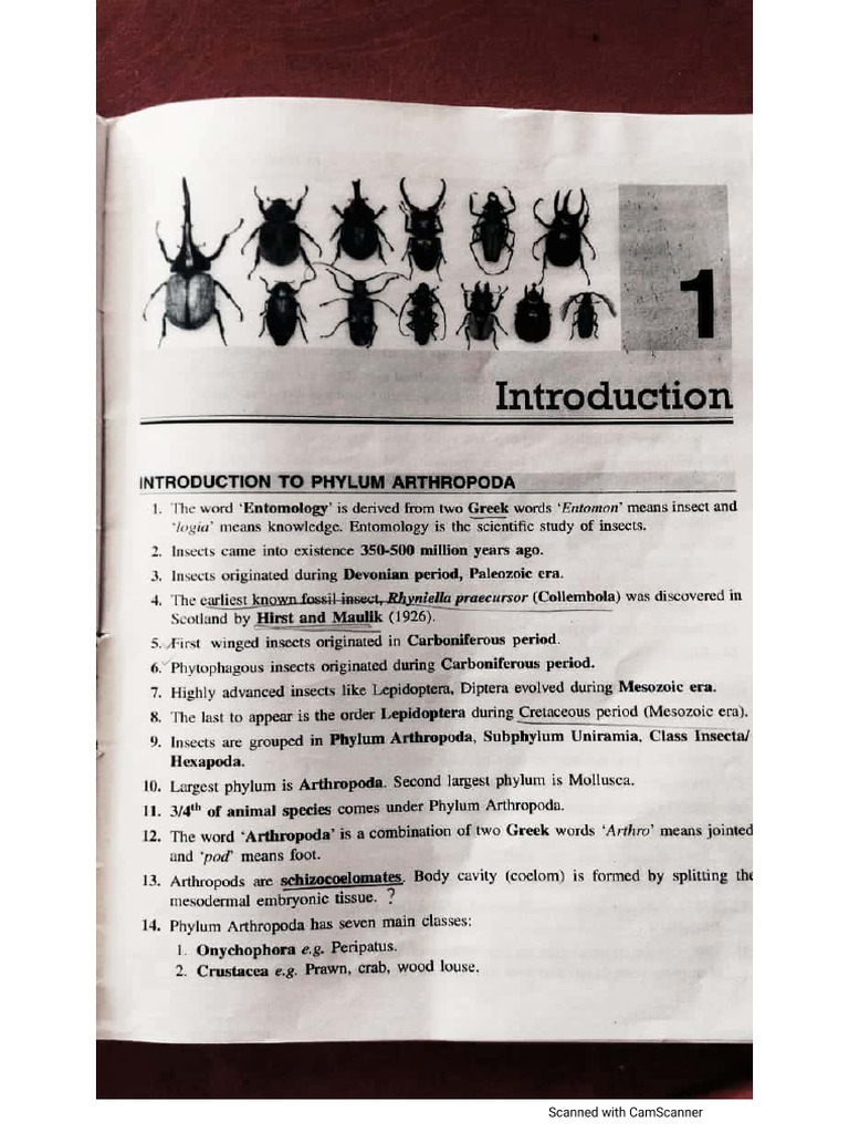 L - Entomology Refresher | PDF